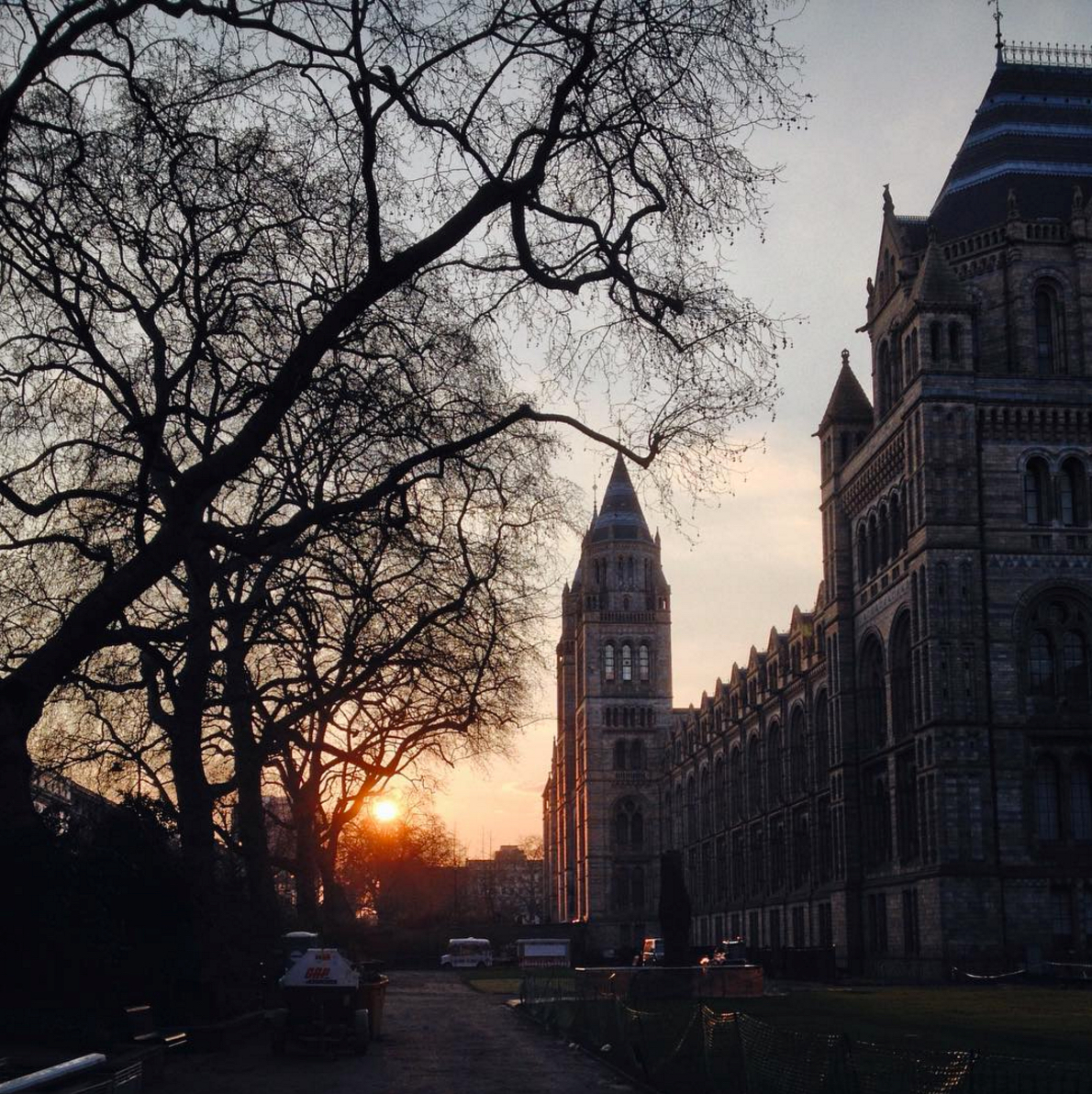 Interview with Brandon Lau – Whimsically Theoretical